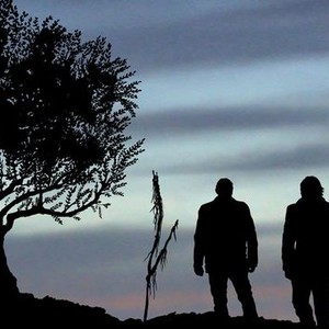 Noah Land - Rotten Tomatoes