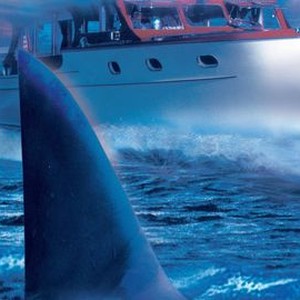 Shark Zone - Rotten Tomatoes