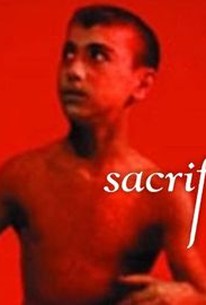 Sacrifices | Rotten Tomatoes