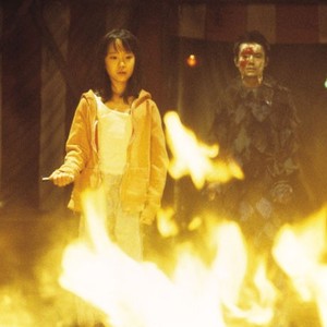 Three... Extremes - Rotten Tomatoes