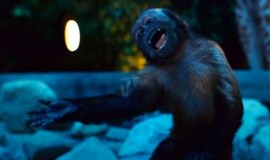 Zookeeper - Rotten Tomatoes