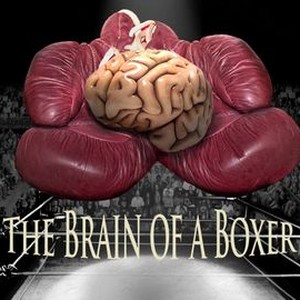 The Brain of a Boxer - Rotten Tomatoes