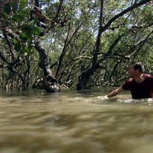 Andy Rodoreda - Rotten Tomatoes