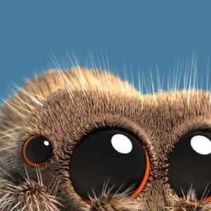 Lucas the Spider - Rotten Tomatoes