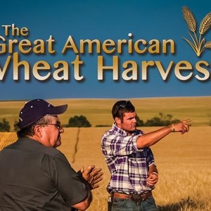 The Great American Wheat Harvest - Rotten Tomatoes
