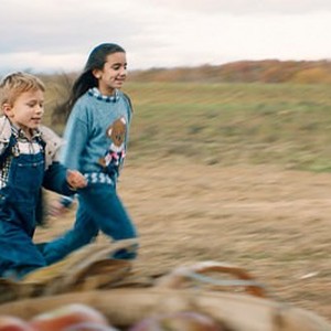 Runoff - Rotten Tomatoes