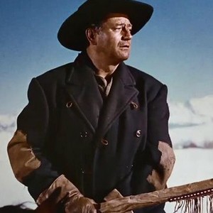 The Searchers - Rotten Tomatoes