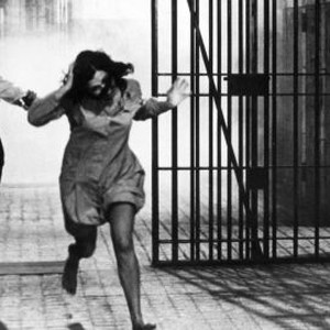 Women in Cell Block 7 - Rotten Tomatoes