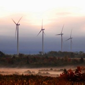 Windfall - Rotten Tomatoes