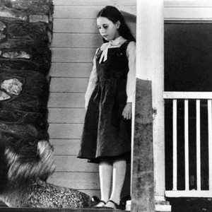 Sarah Albright - Rotten Tomatoes