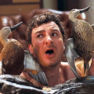 Incontrôlable - Rotten Tomatoes