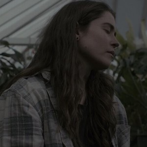 The Greenhouse - Rotten Tomatoes