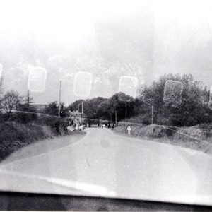 Photographic Memory - Rotten Tomatoes