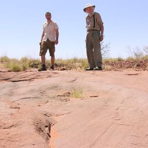 Luke Walker - Rotten Tomatoes