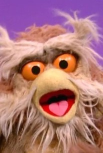 Sesame Street: Season 37, Episode 12 | Rotten Tomatoes