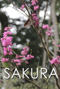 Sakura (2017) | Rotten Tomatoes