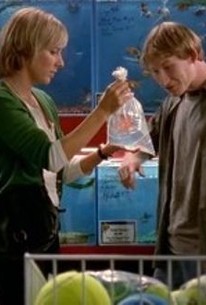 Monk - Season 3 Episode 10 - Rotten Tomatoes