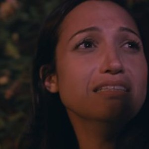 The Zeme - Rotten Tomatoes