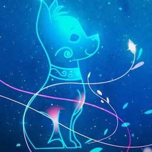 Xico's Journey - Rotten Tomatoes