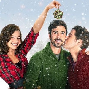 The Christmas Setup - Rotten Tomatoes