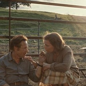 Ravens - Rotten Tomatoes