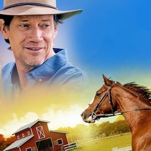 Rodeo Girl - Rotten Tomatoes