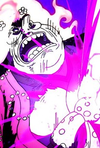 One Piece: Season 20, Episode 176 | Rotten Tomatoes