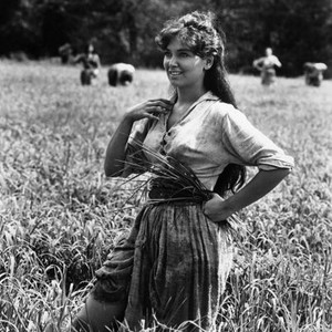 Suzanne Pleshette - Rotten Tomatoes