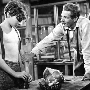 Joseph Walsh - Rotten Tomatoes