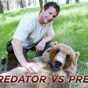 Predator vs. Prey - Rotten Tomatoes