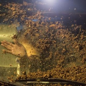 Soul - Rotten Tomatoes