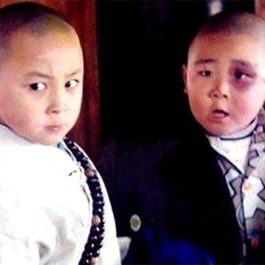 Dragon from Shaolin - Rotten Tomatoes