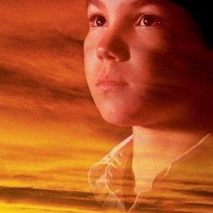 The Education of Little Tree - Rotten Tomatoes