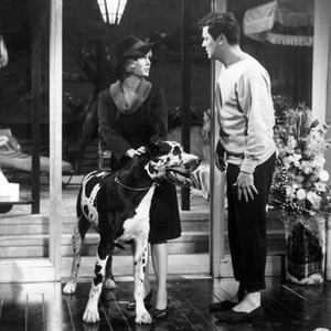 Goodbye Charlie - Rotten Tomatoes