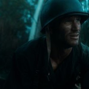 In Full Bloom - Rotten Tomatoes