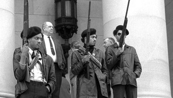 The Black Panthers: Vanguard of the Revolution - Rotten Tomatoes