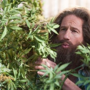 Goats - Rotten Tomatoes