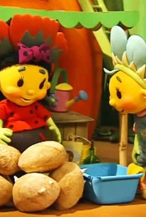 Fifi and the Flowertots: Season 1, Episode 36 | Rotten Tomatoes