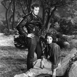 Mary Murphy - Rotten Tomatoes