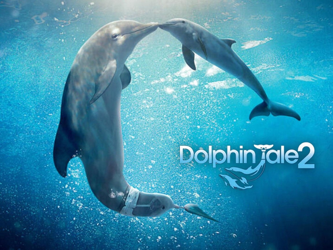 Dolphin Tale 2 Movie Trailer