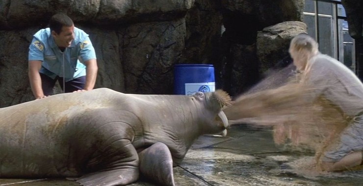 50 First Dates - Rotten Tomatoes