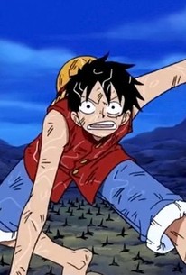 One Piece: Season 8, Episode 8 | Rotten Tomatoes