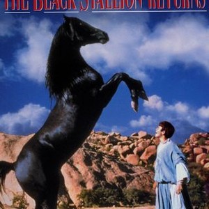 The Black Stallion Returns - Rotten Tomatoes