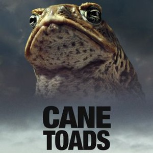 Cane Toads: The Conquest - Rotten Tomatoes