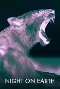 Night on Earth: Season 1 | Rotten Tomatoes
