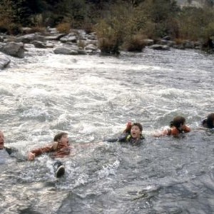 Max Goldblatt - Rotten Tomatoes