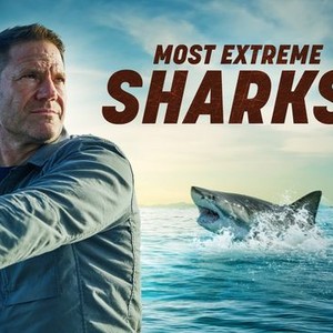 Most Extreme Sharks - Rotten Tomatoes