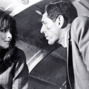 The Limbo Line - Rotten Tomatoes