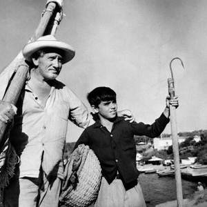 Felipe Pazos - Rotten Tomatoes