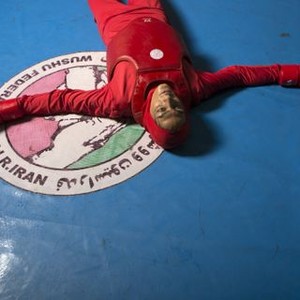 Platform - Rotten Tomatoes